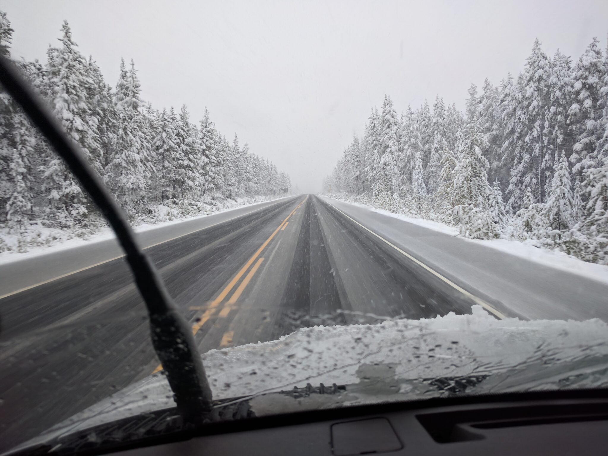 Yes, you need an IDP to drive in some countries - Australian Automobile ...